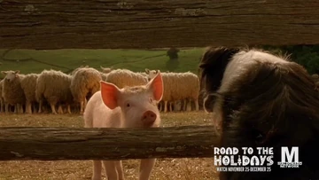 December 8, 2023 | Maldonado Network Wiki | Fandom