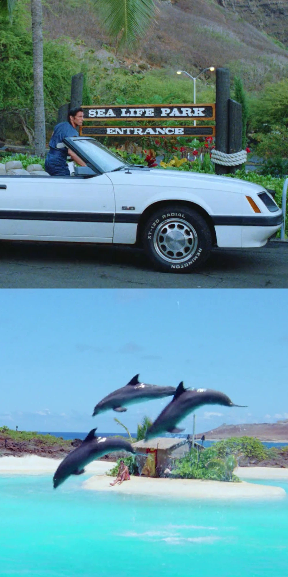 Sea Life Park | Malibu Bay Films Wiki | Fandom