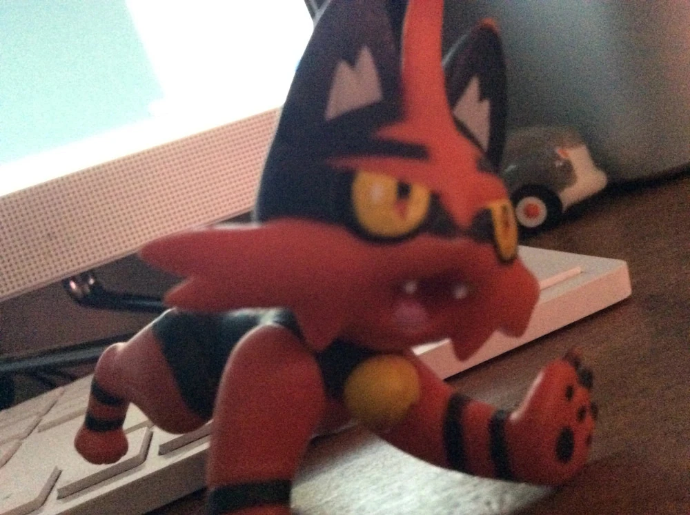 Torracat | Malibu Family Wiki | Fandom