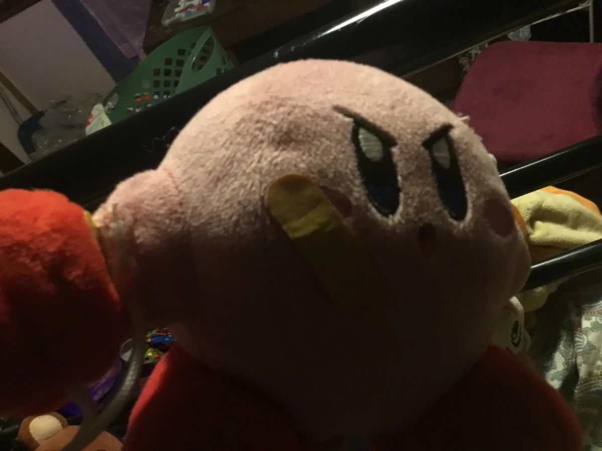 Rapper Kirby | MalibuFamliy Wiki | Fandom