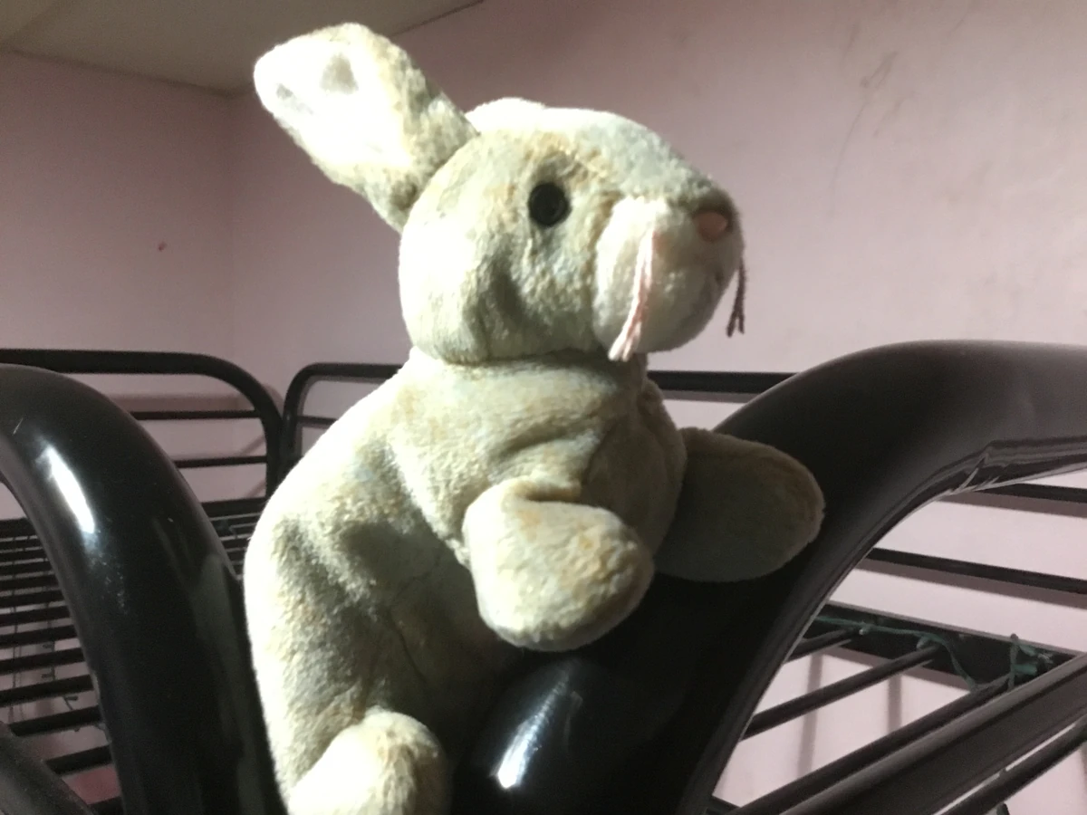 Pyra’s Bunny Dolls | MalibuFamliy Wiki | Fandom