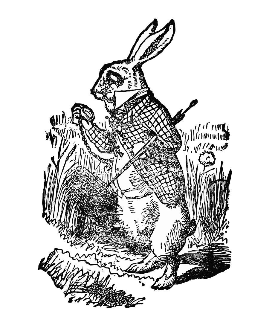 White Rabbit | Malice In Wonderland - and all things Alice Wiki | Fandom