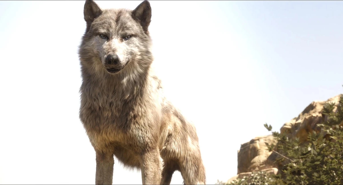 GiuseppeDiRosso User Profile DeviantArt | MG Wiki | Fandom