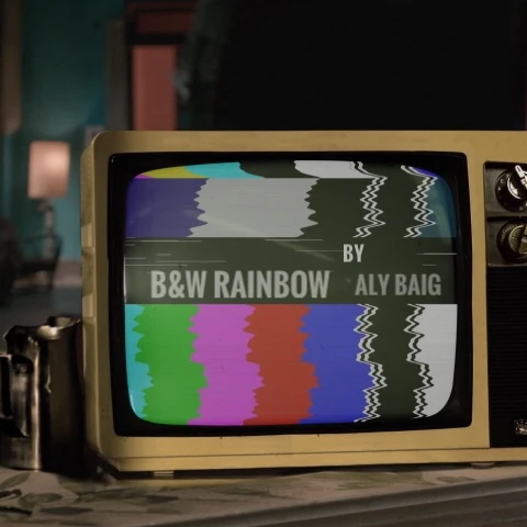 B&W Rainbow | Aly Baig Wiki | Fandom