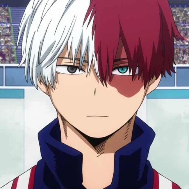 Shoto Todoroki | Mamarre Estudios Español Wiki | Fandom