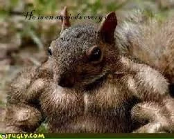 Bad Squirrel | Mamarre Estudios Español Wiki | Fandom