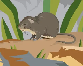 Greater Cane Rat | Mammals Wiki | Fandom