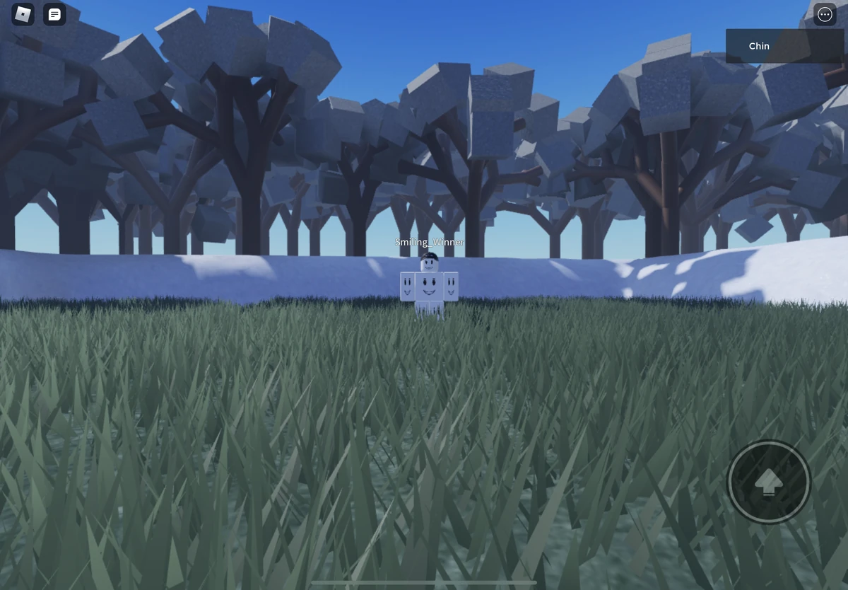 Smiling Winner | MAN FACE Wiki | Fandom