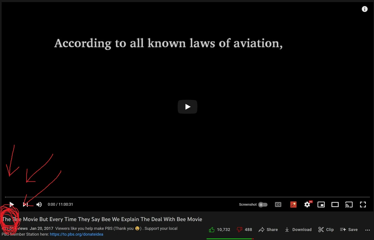 Bee Movie or THE Bee Movie? | Mandela Effect Wiki | Fandom
