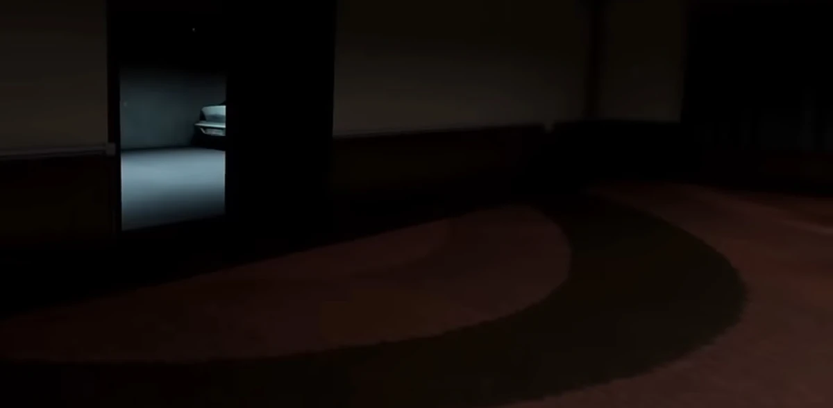 Carpet | Anomaly Watch Wiki | Fandom