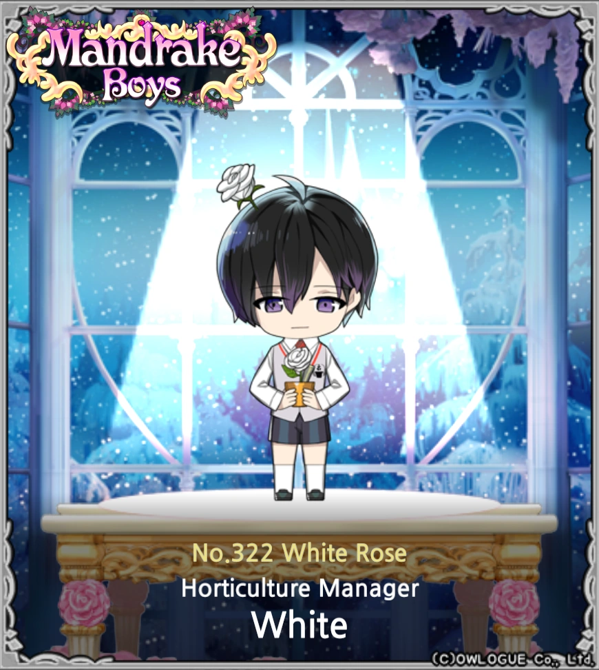White | Mandrake Boys Wikia | Fandom