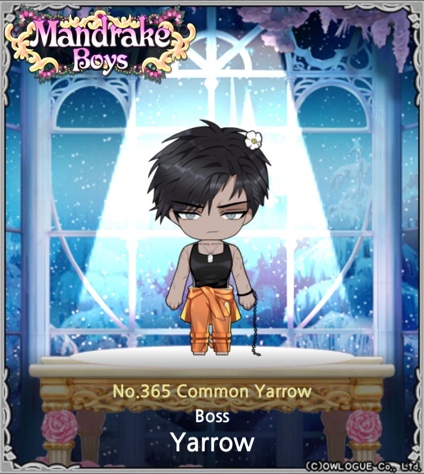 Yarrow | Mandrake Boys Wikia | Fandom