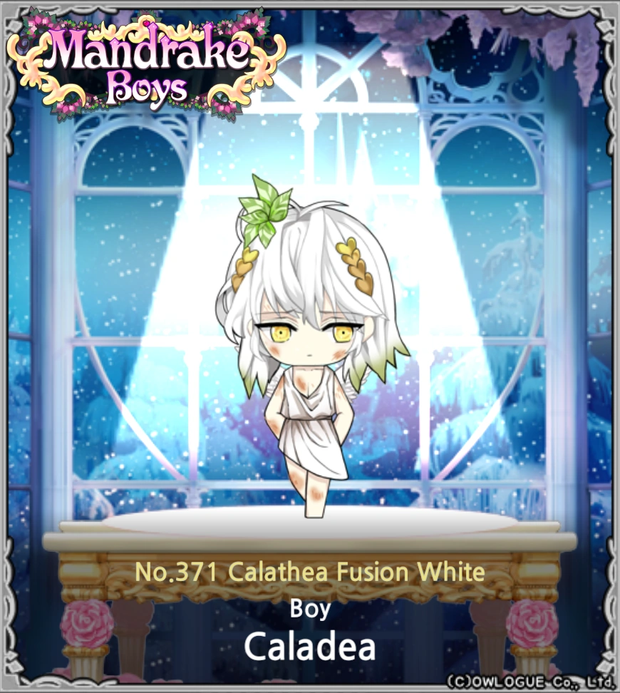 Caladea | Mandrake Boys Wikia | Fandom