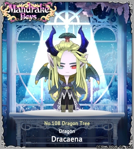 Dracaena | Mandrake Boys Wikia | Fandom