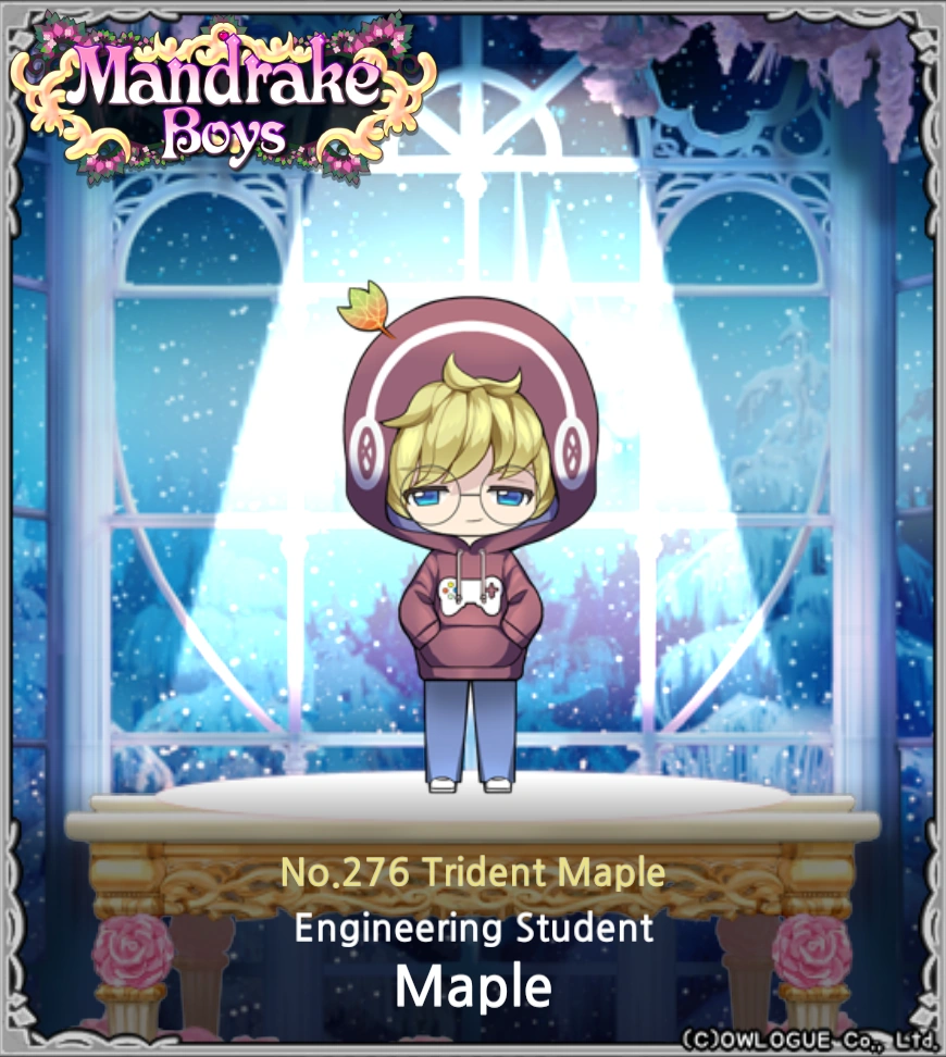 Maple | Mandrake Boys Wikia | Fandom