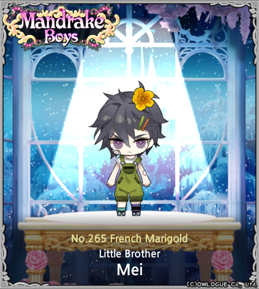 Mei | Mandrake Boys Wikia | Fandom