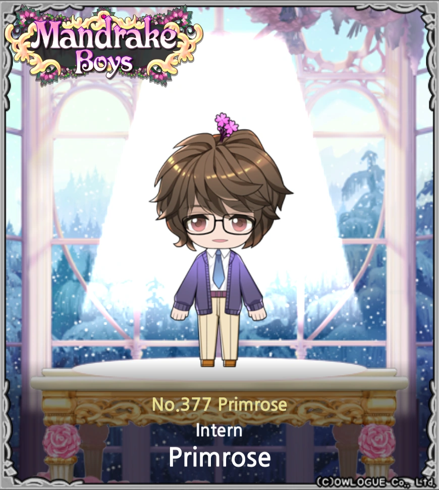 Primrose | Mandrake Boys Wikia | Fandom