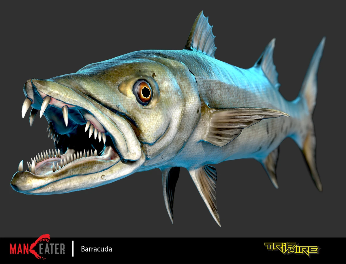 Barracuda - Maneater Wiki