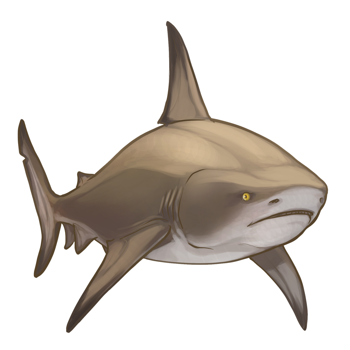 Bull Shark Maneater Wiki