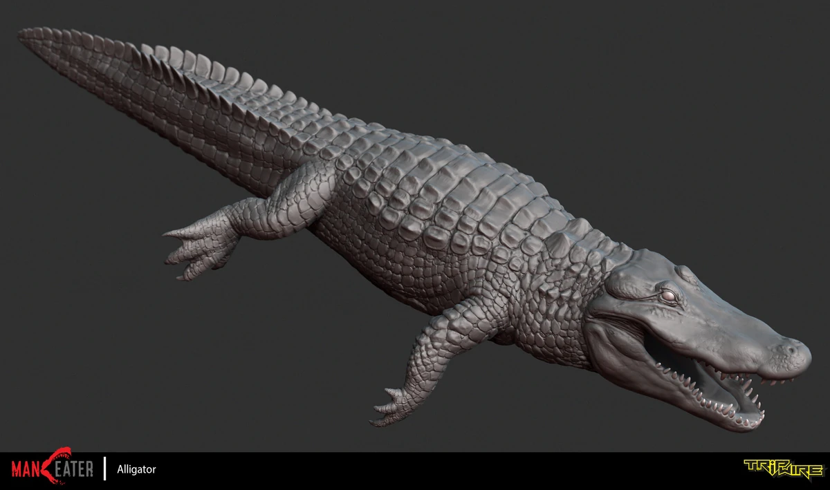 Alligators - Maneater Wiki
