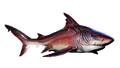 Bull Shark - Maneater Wiki