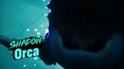 Shadow Orca - Maneater Wiki