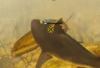 Catfish - Maneater Wiki