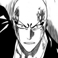 Madarame Ikkaku (Bleach) | Wiki Manga-encyclopédie | Fandom