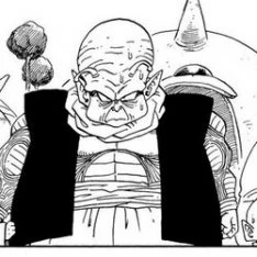 Moori (Dragon Ball) | Wiki Manga-encyclopédie | Fandom