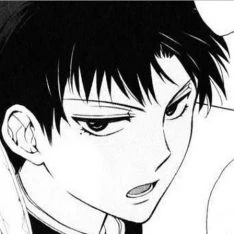 Ayabe Reito (Fight Girl) | Wiki Manga-encyclopédie | Fandom