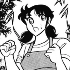 Miho (Saint Seiya - Les Chevaliers du Zodiaque) | Wiki Manga ...