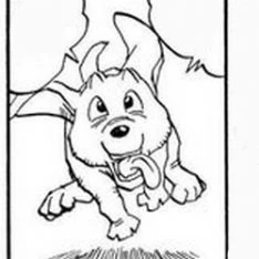 Bee (Dragon Ball) | Wiki Manga-encyclopédie | Fandom