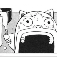 Ruby (Rave) | Wiki Manga-encyclopédie | Fandom