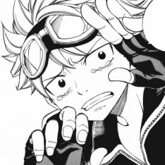 Natsu Dragion (Fairy Tail) | Wiki Manga-encyclopédie | Fandom