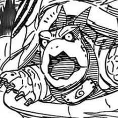 Ningame (Naruto) | Wiki Manga-encyclopédie | Fandom