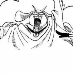 Kotori (One Piece) | Wiki Manga-encyclopédie | Fandom