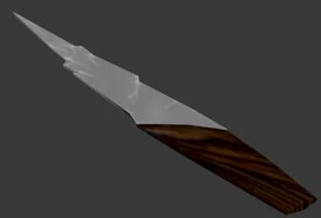 Glass Shard | Wikihunt | Fandom