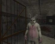 White Rabbit | Wikihunt | Fandom