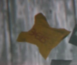 Eris | The Project Wiki | Fandom