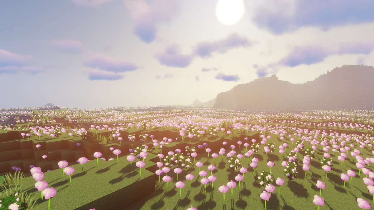 Lavender-Fields of Évaique | Maniae Wiki | Fandom