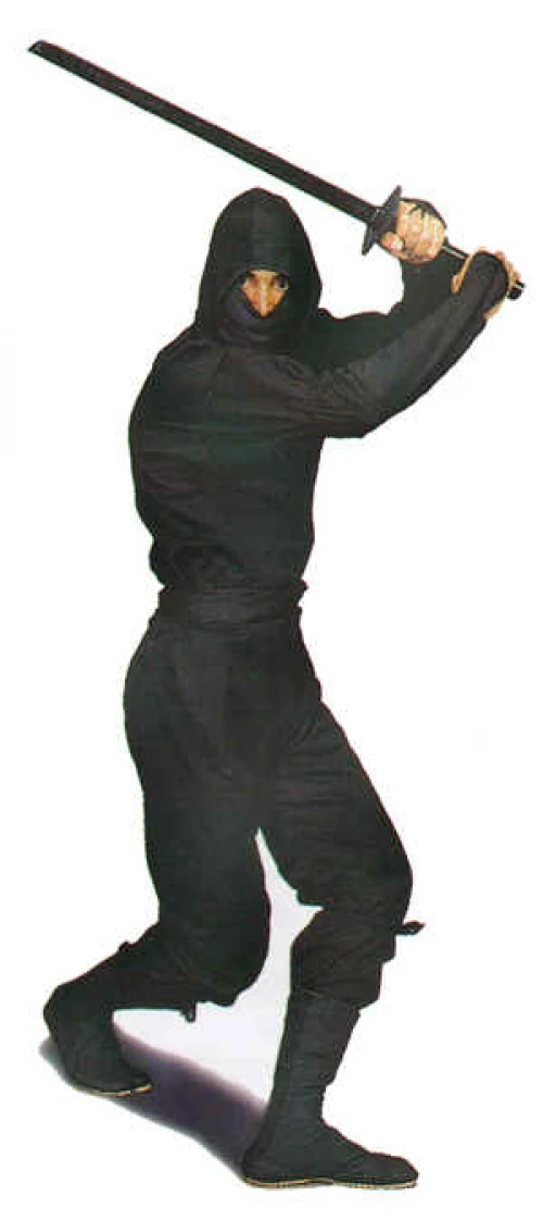 Ninja | Manly Wiki | Fandom