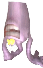 Ceiling Surprise | Luigi's Mansion Wiki | Fandom