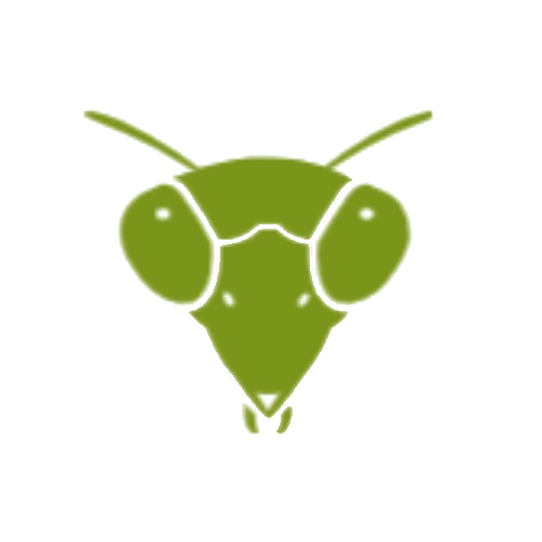 Hierodula papua | Mantis Wiki | Fandom