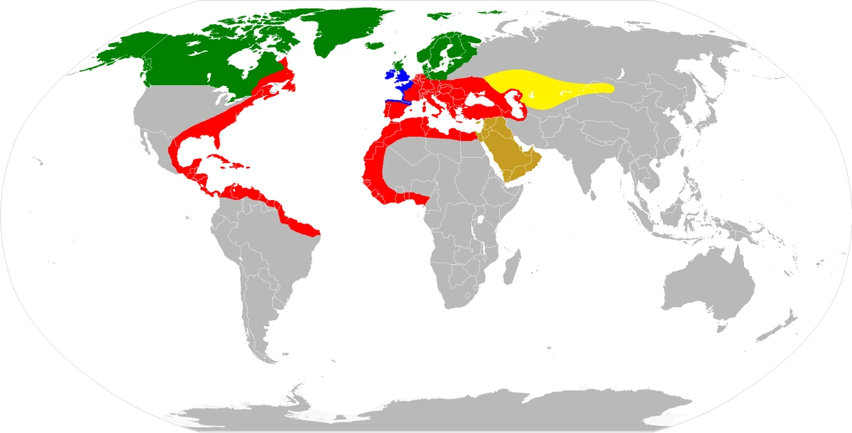 All at War | Map Game Wiki | Fandom