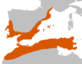 Colonización del Viejo Mundo (Precuela) | Juegos de Mapas | Fandom