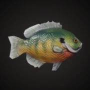 Fishing | Maple County Wiki | Fandom