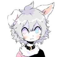 Maple County Wiki | Fandom