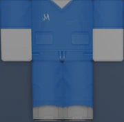 Nurse | Maple Hospital Wiki | Fandom