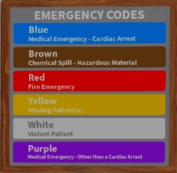 Director Pack | Maple Hospital Wiki | Fandom