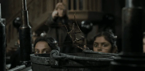 Imperius Curse (Non-Human Creatures) | Magical Association of Problem ...